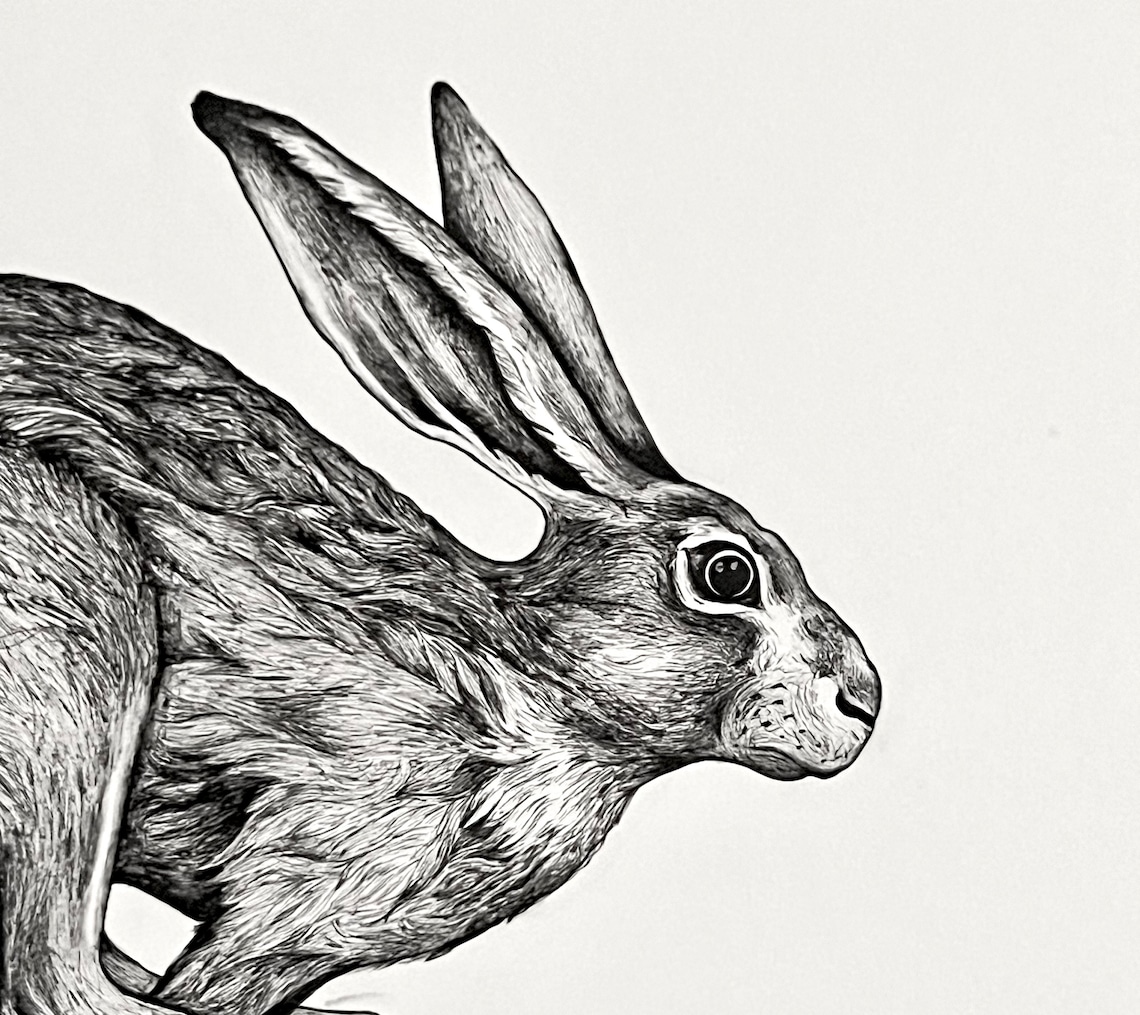 Running Hare original Drawing - Etsy