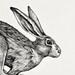 Running Hare original Drawing - Etsy