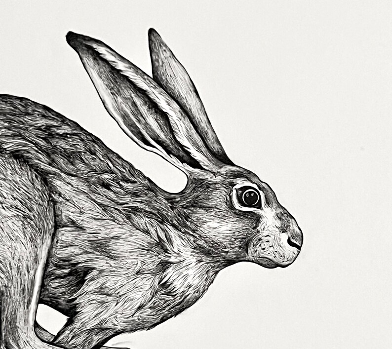 Running Hare original Drawing - Etsy