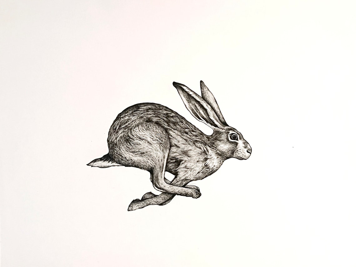 Running Hare original Drawing - Etsy