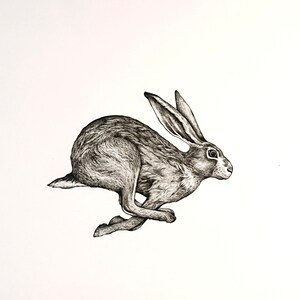 Running Hare original Drawing - Etsy
