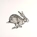 Running Hare original Drawing - Etsy