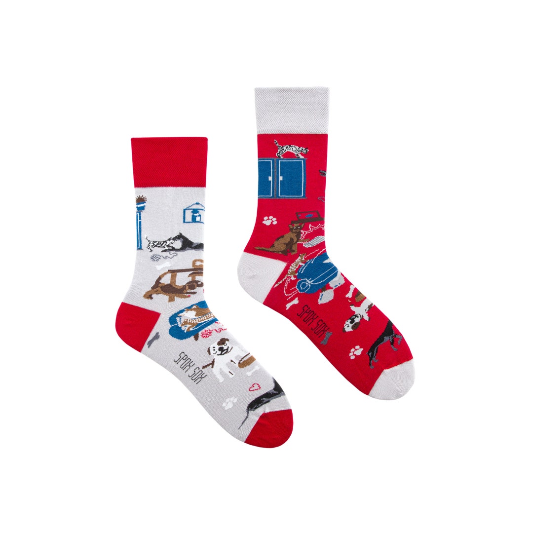 CATS and DOGS | Mismatched Colorful Socks | Premium Sock | Colourful ...