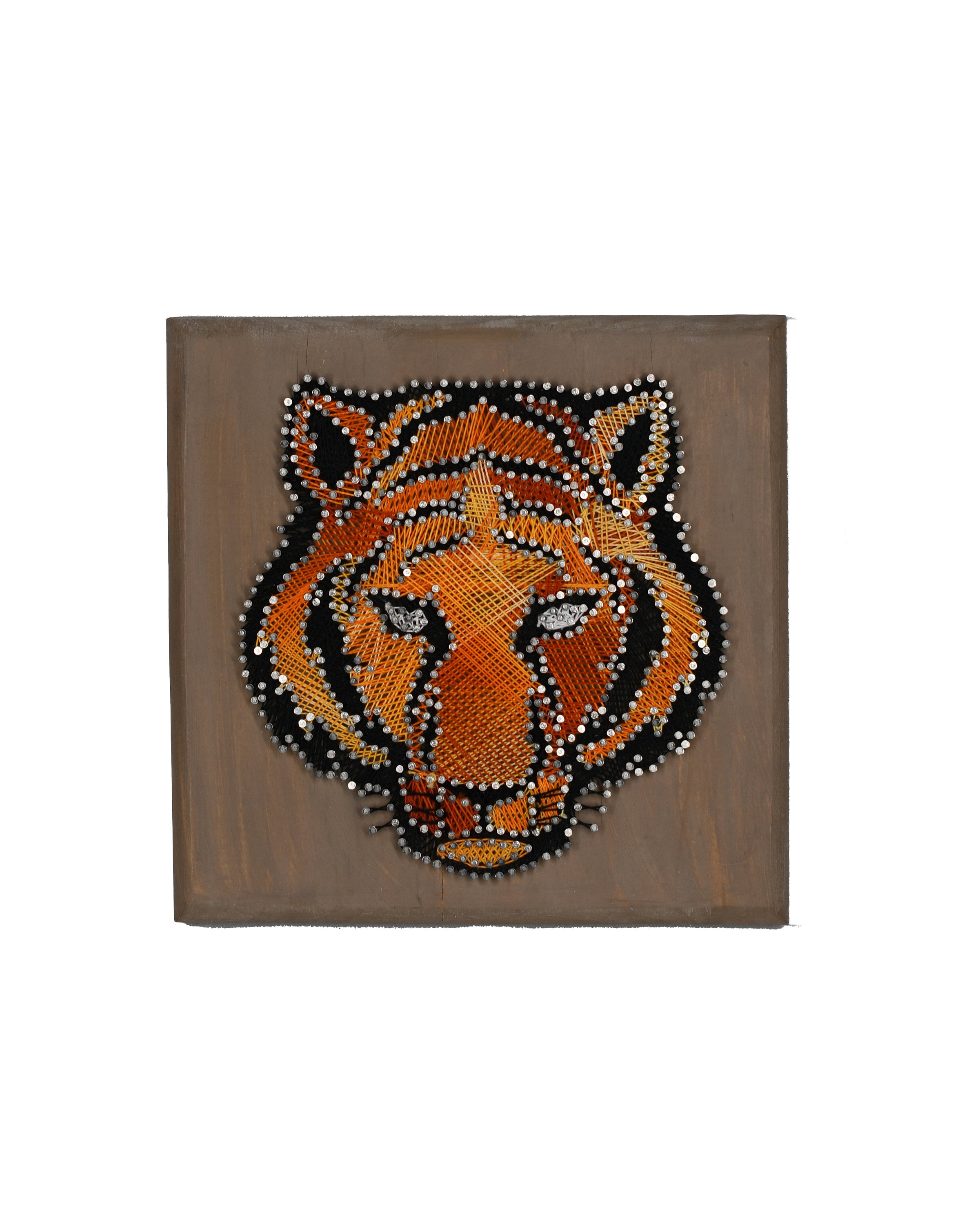 Tiger tiger, Animal, Wild, String Art, Wood, Fine Crochet Thread, Wire ...