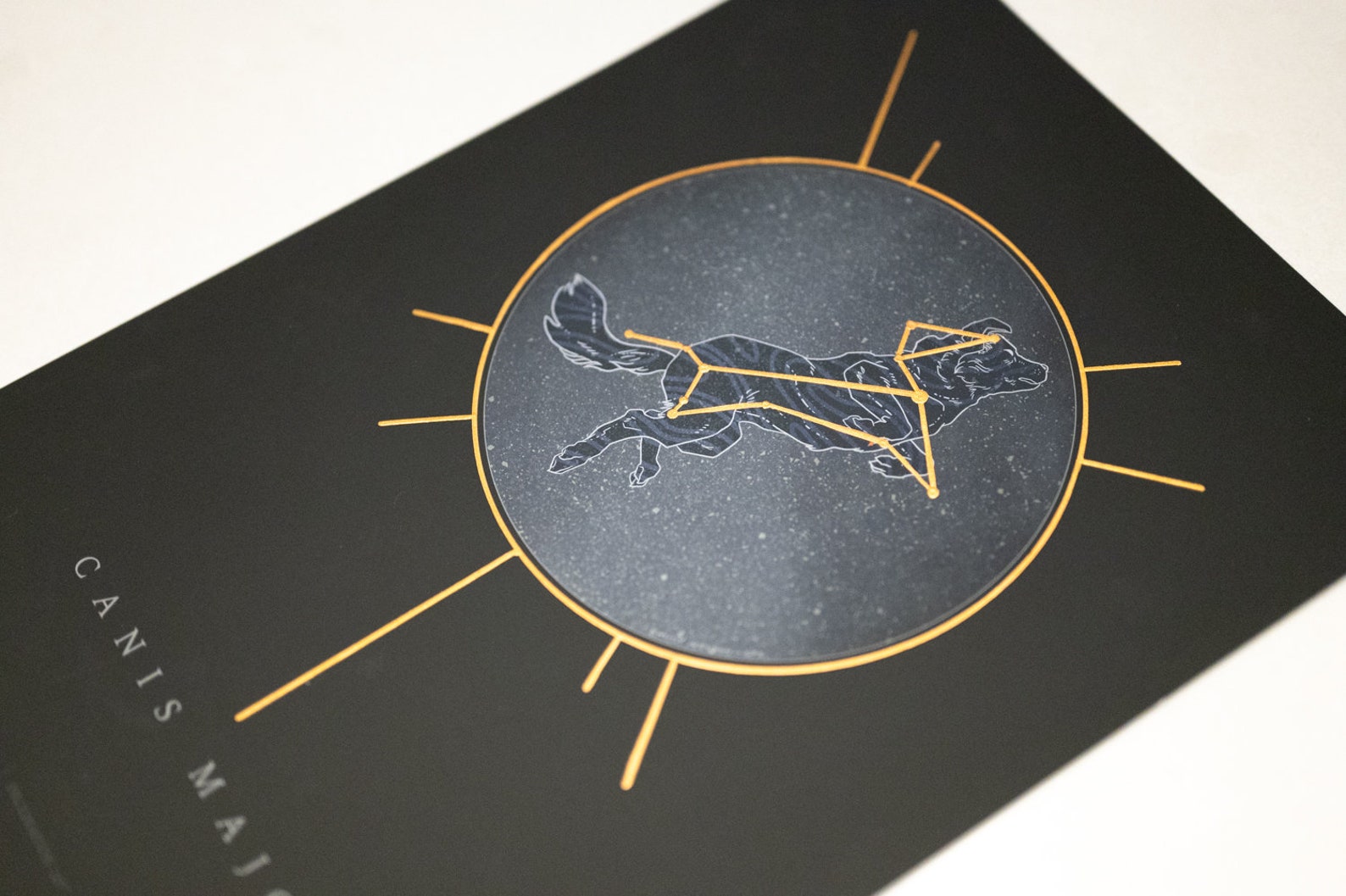 HAND GILDED Canis Major Constellation Zodiac Sign Poster/art Print 11 X ...