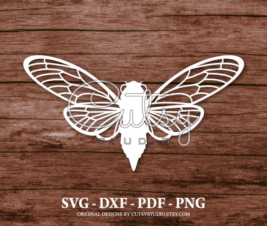 SVG Cicada Wings Texture Silhouette Cut Files Designs, Clip Art, Paper ...