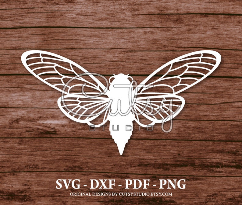 SVG Cicada Wings Texture Silhouette Cut Files Designs, Clip Art, Paper ...