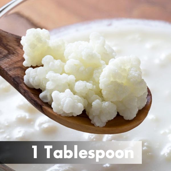 Milk.kefir - Etsy
