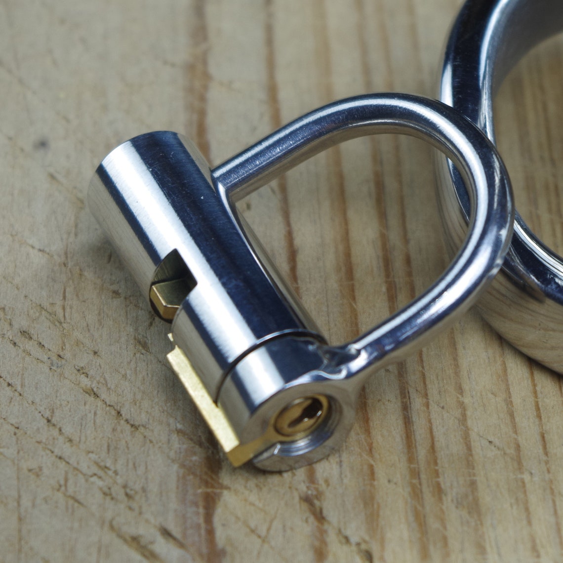 Steel PA Lock Chastity Device Prince Albert Piercing Men Peins | Etsy