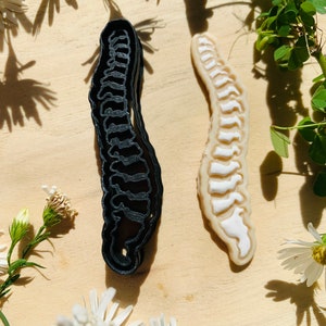 Spine Full Spinal Bones Embossed Sharp Cutter for Clay - Etsy