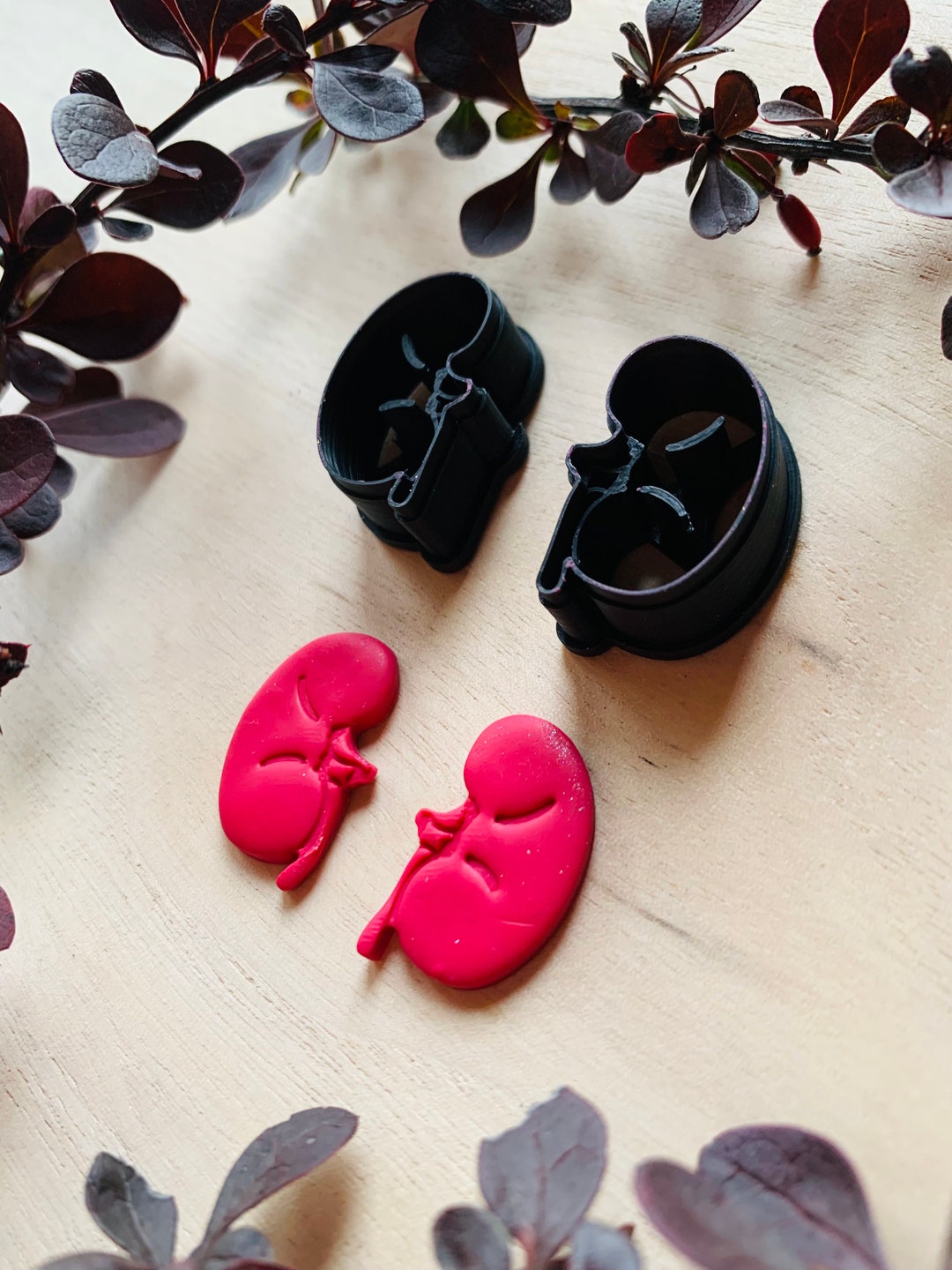 Kidney Organ Body Part Embossed Sharp Clay Cutter - Etsy