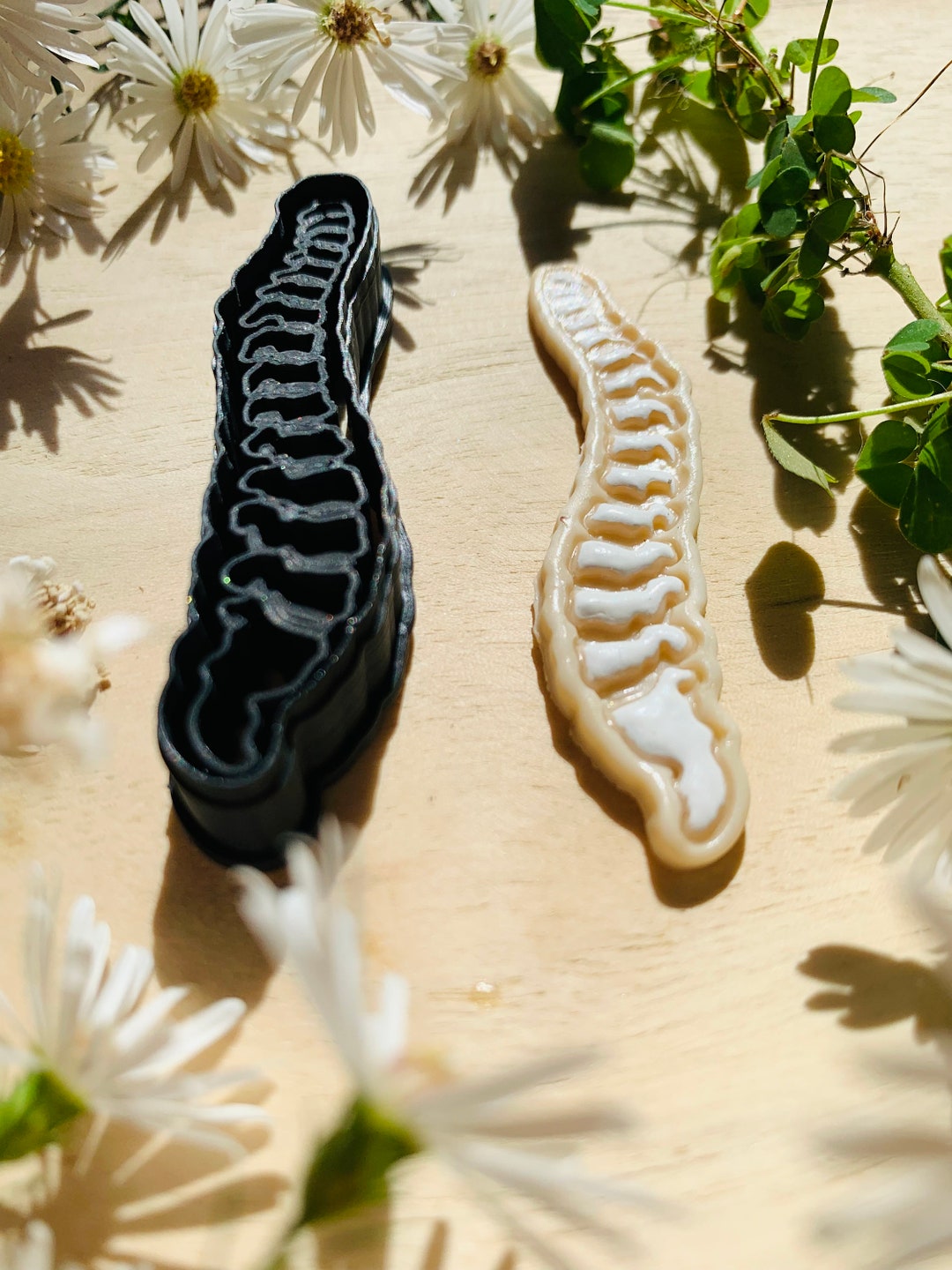 Spine Full Spinal Bones Embossed Sharp Cutter for Clay - Etsy