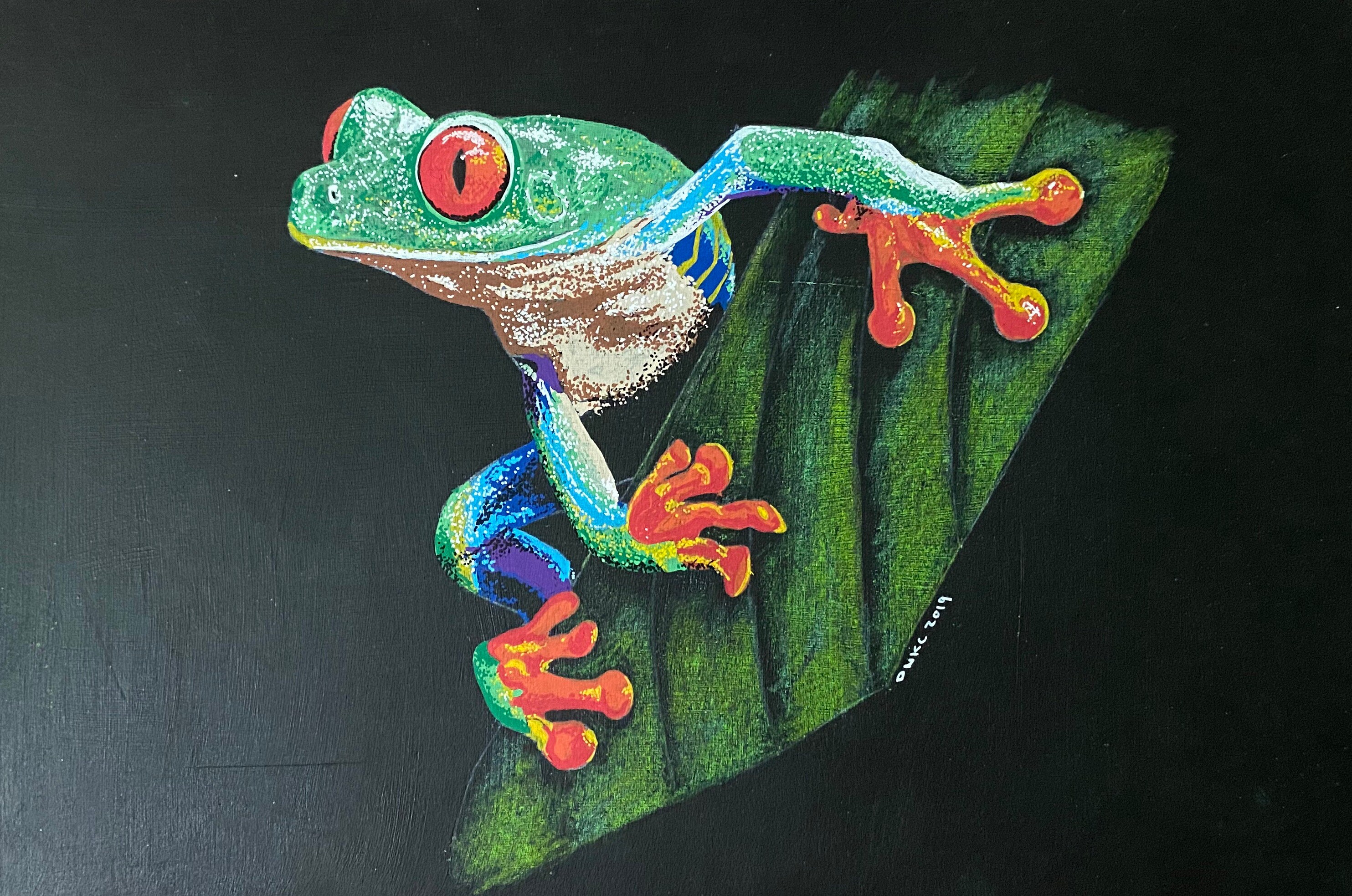 How To Draw A Realistic Tree Frog how-to-draw-a-realistic-tree-frog