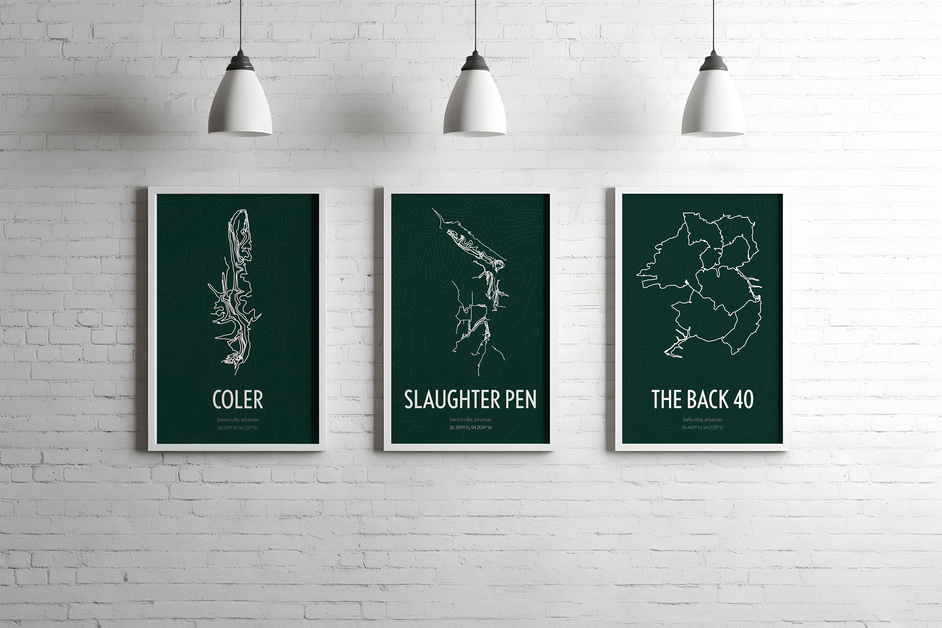 Coler Mountain Bike Preserve - Trail System Map Poster - Bentonville ...