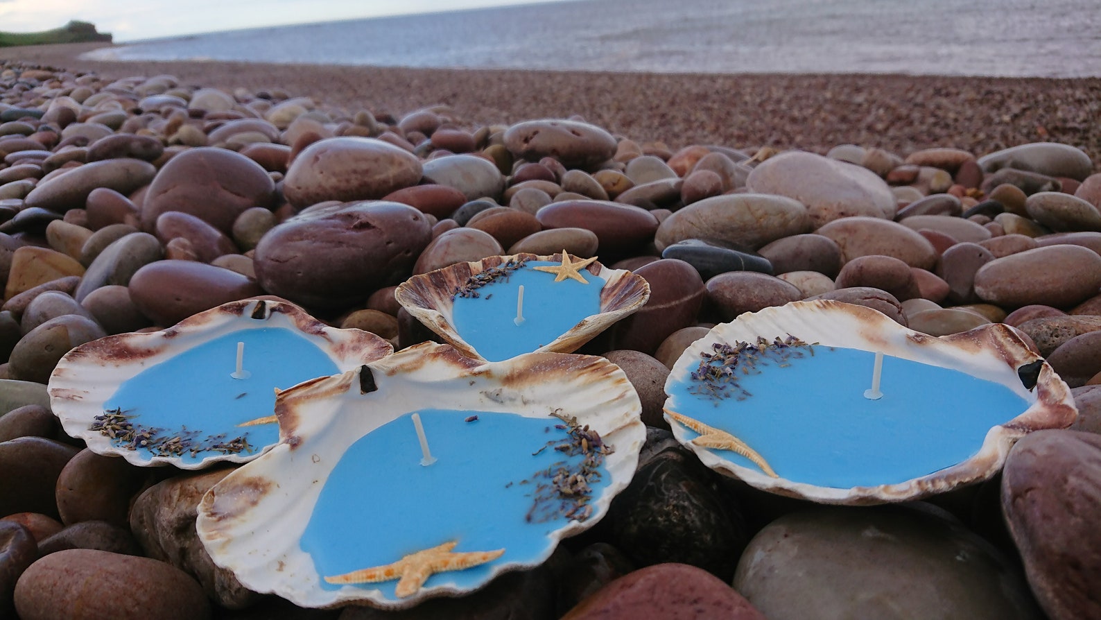 Sea shell candles. Natural candles. | Etsy
