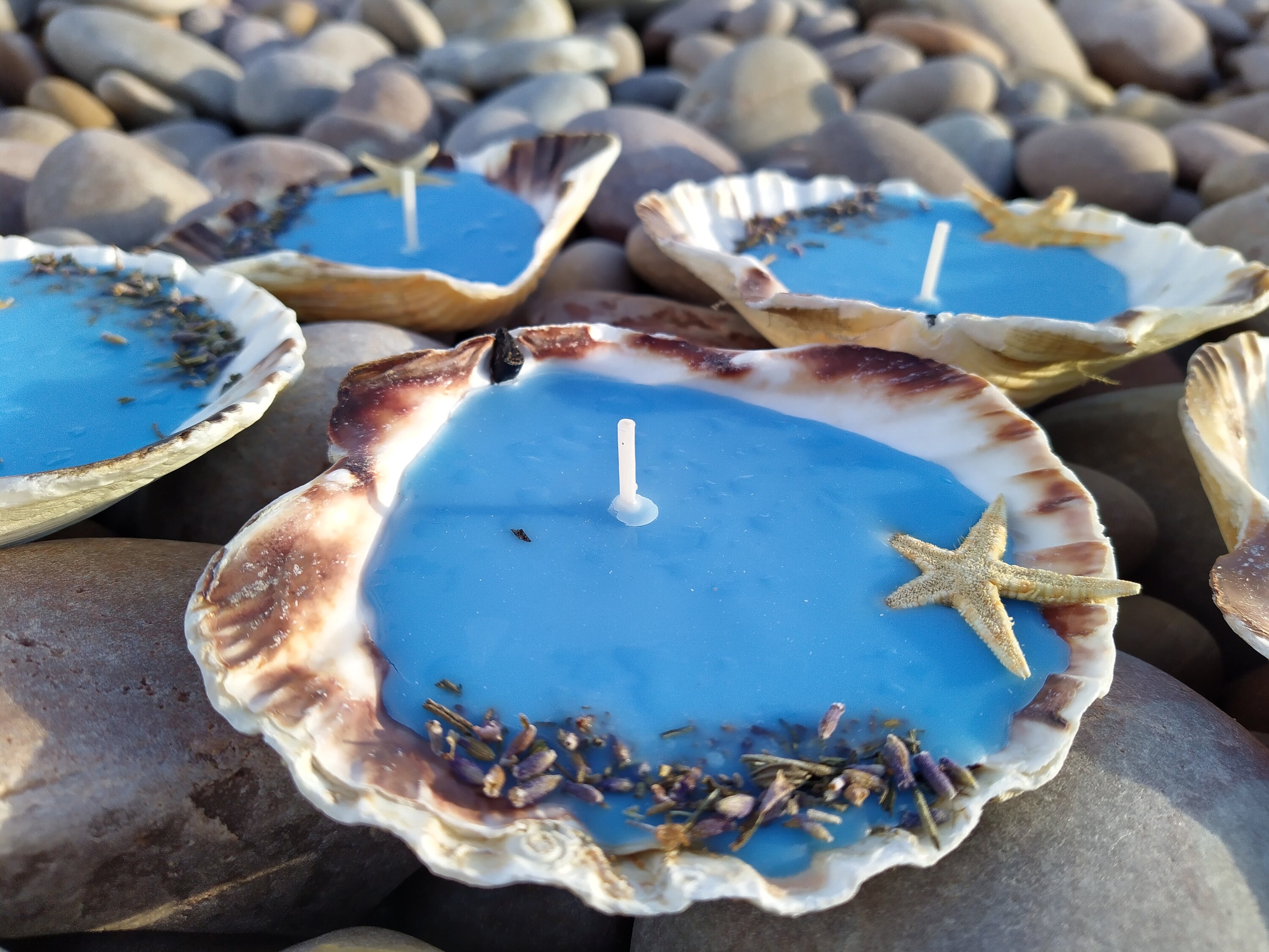 Sea shell candles. Natural candles. | Etsy