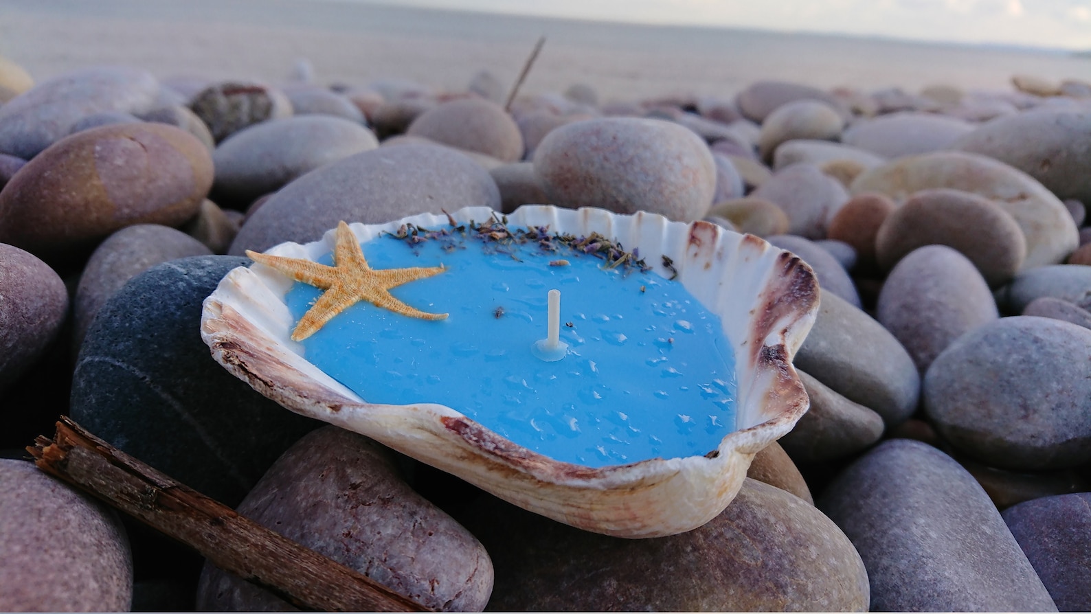 Sea shell candles. Natural candles. | Etsy