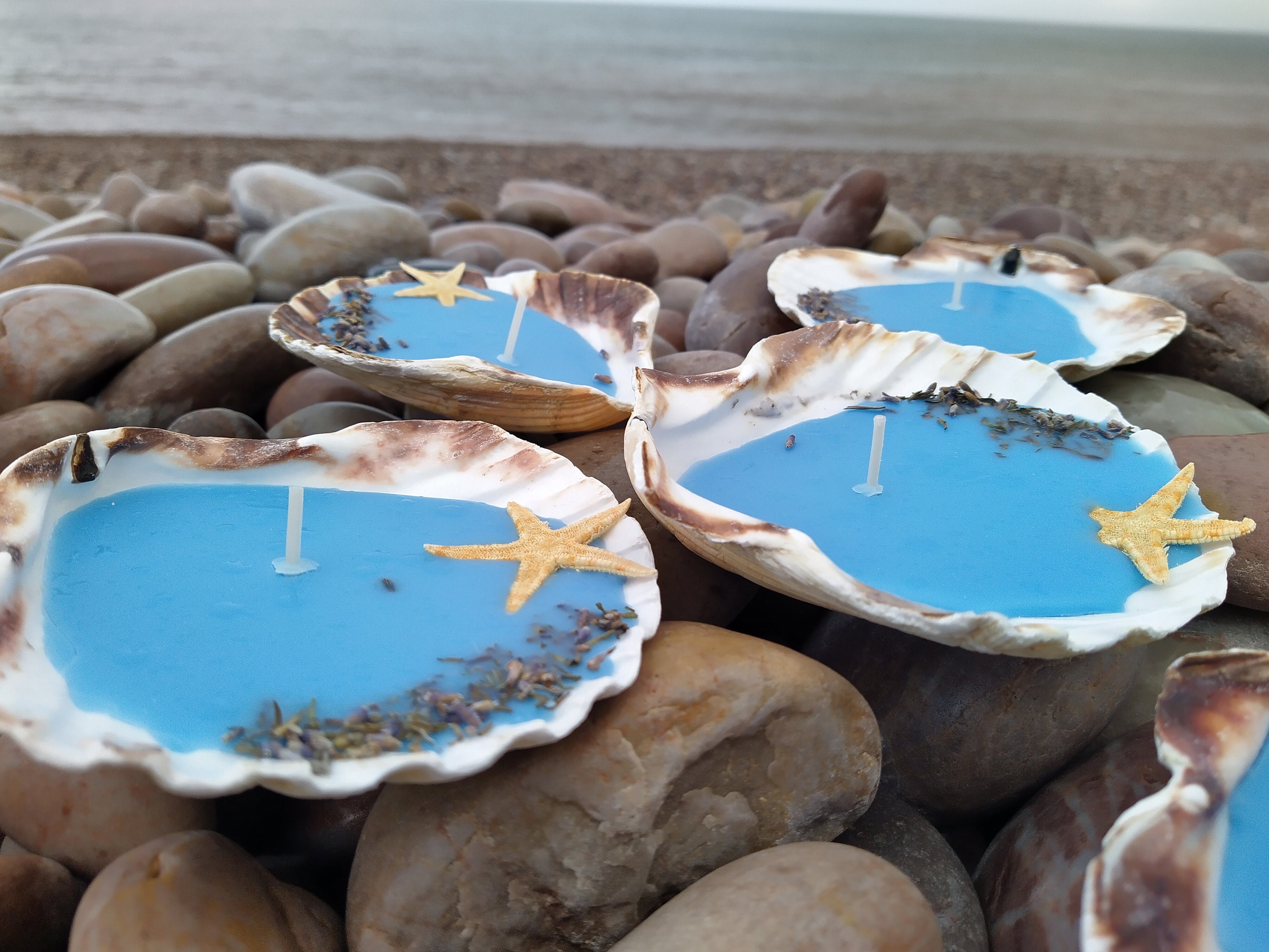 Sea shell candles. Natural candles. | Etsy