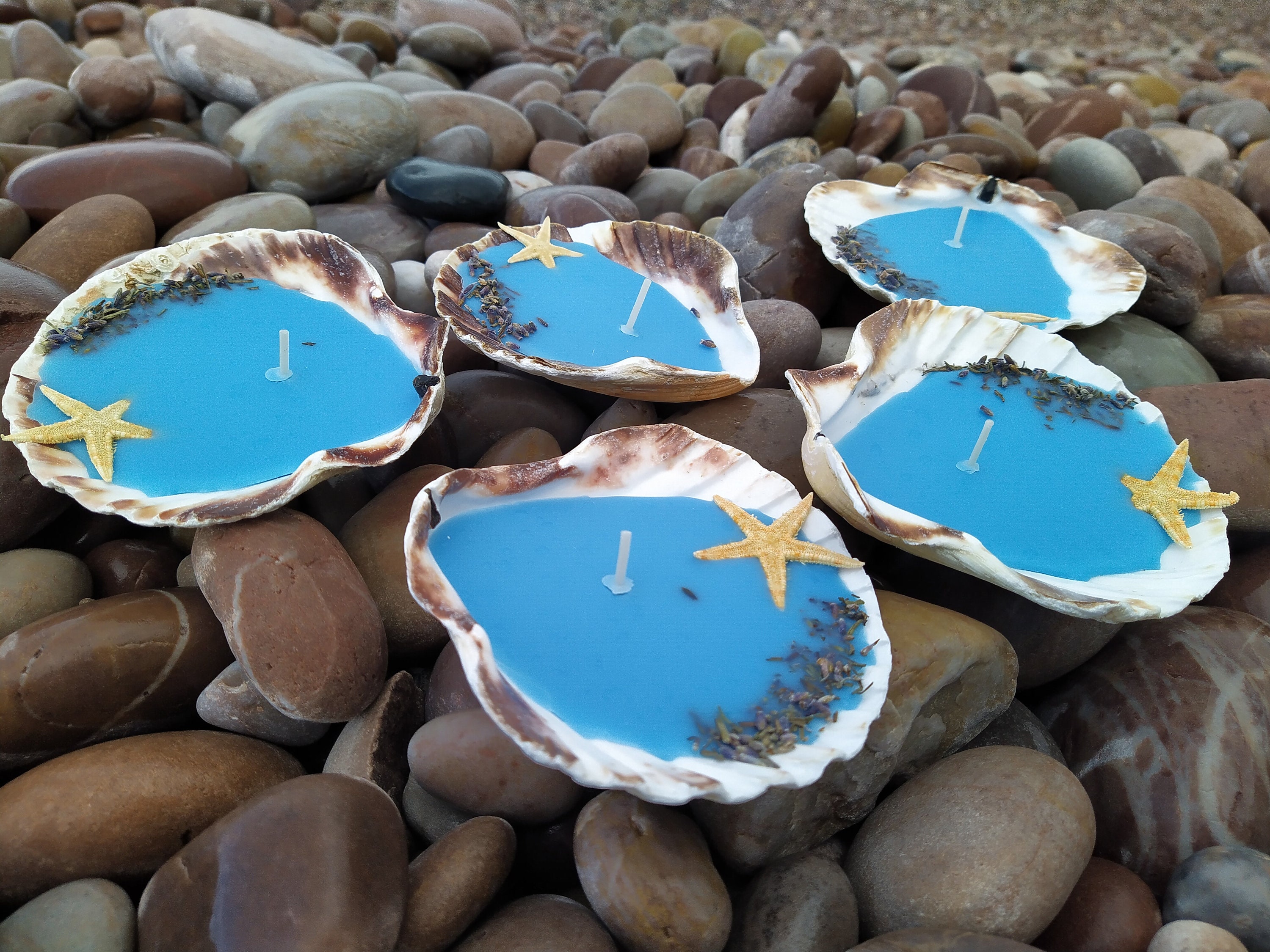 Sea shell candles. Natural candles. | Etsy