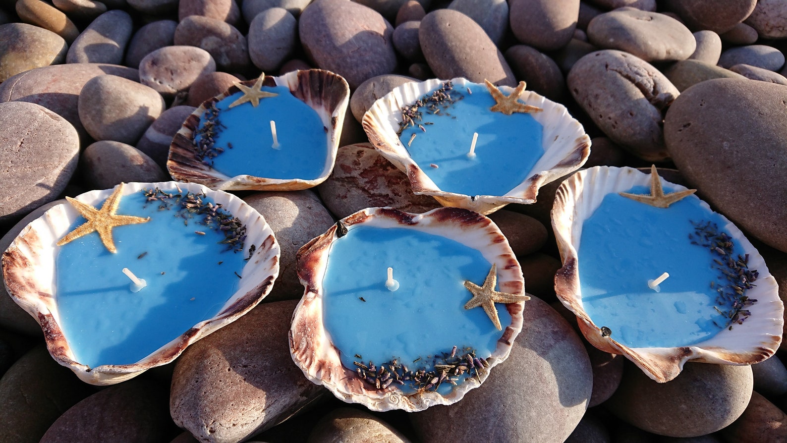Sea shell candles. Natural candles. | Etsy