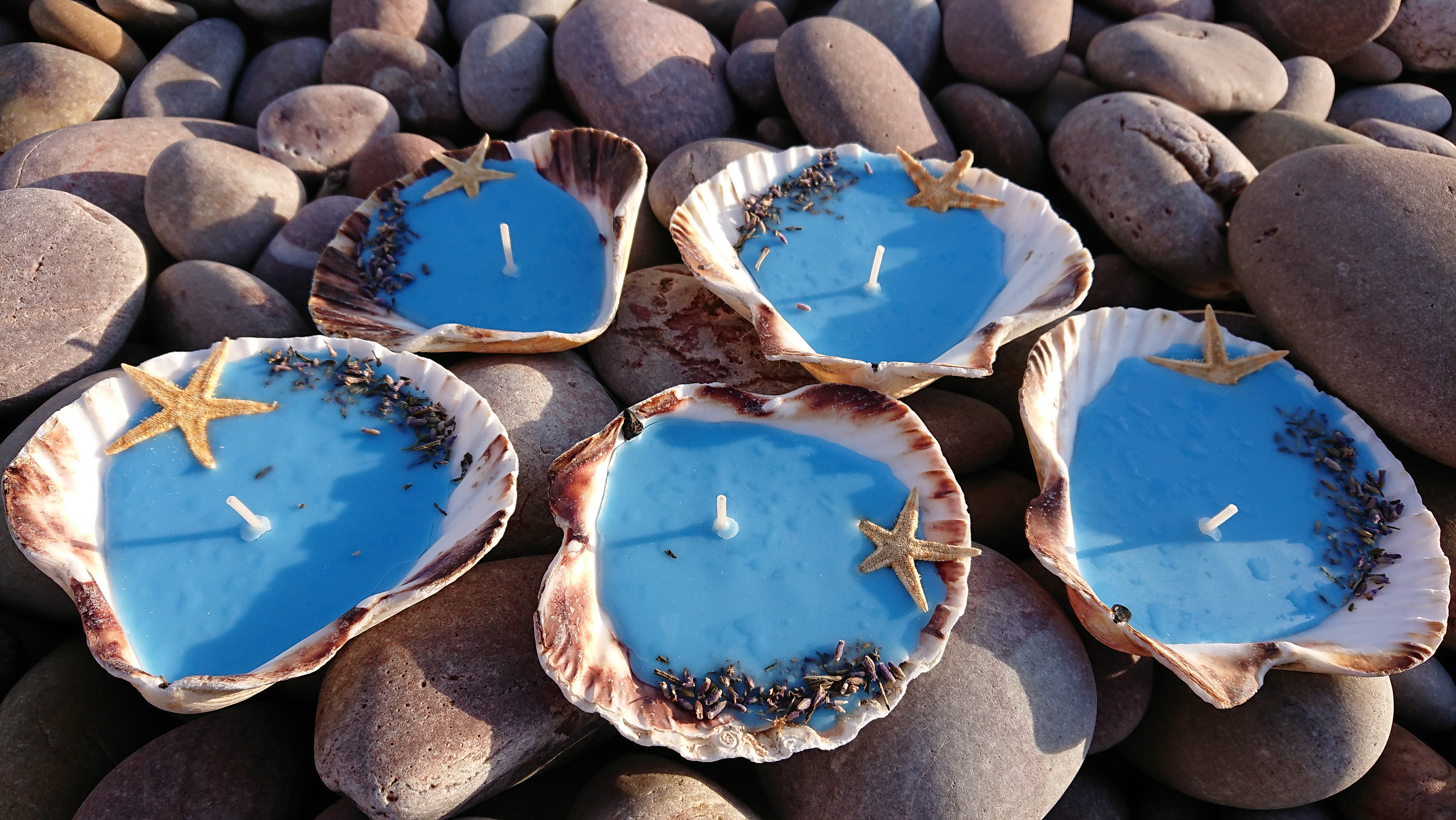 Sea shell candles. Natural candles. | Etsy