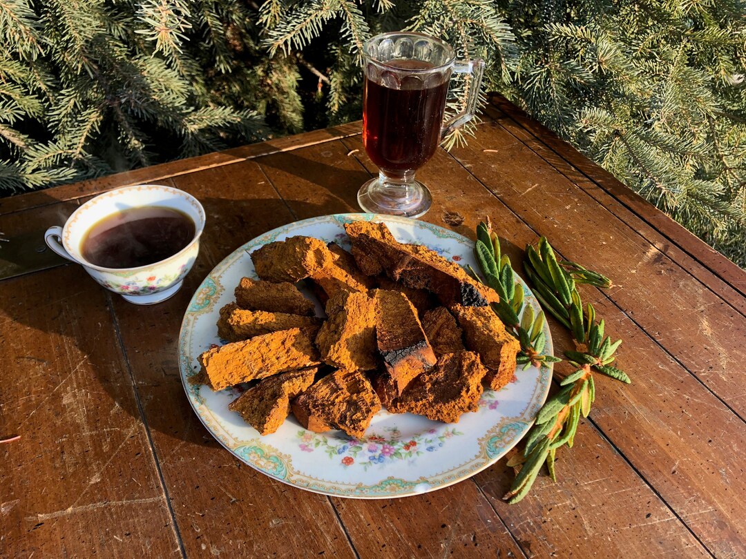 Alaskan Chaga Chunks - Etsy