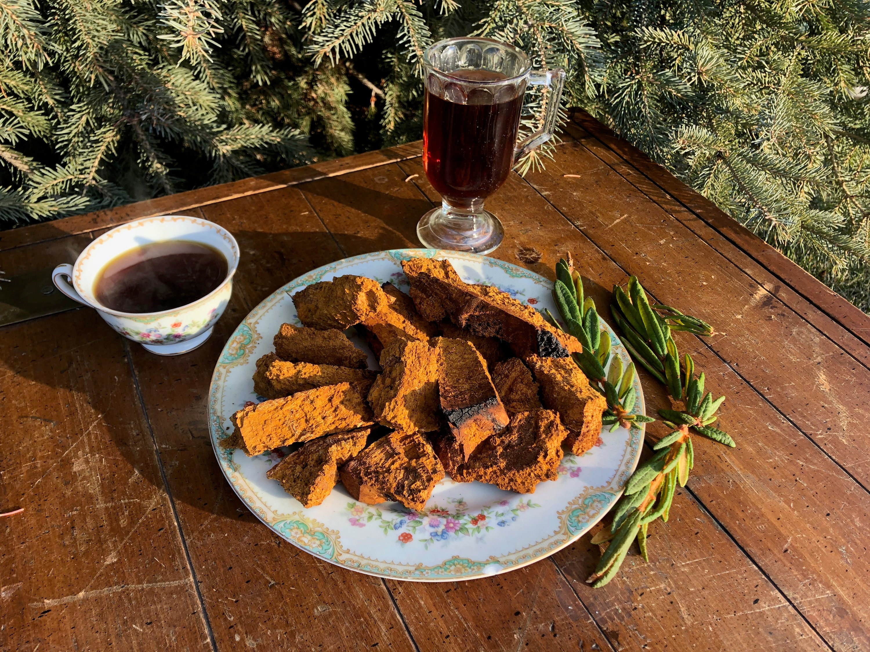 Alaskan Chaga Chunks - Etsy