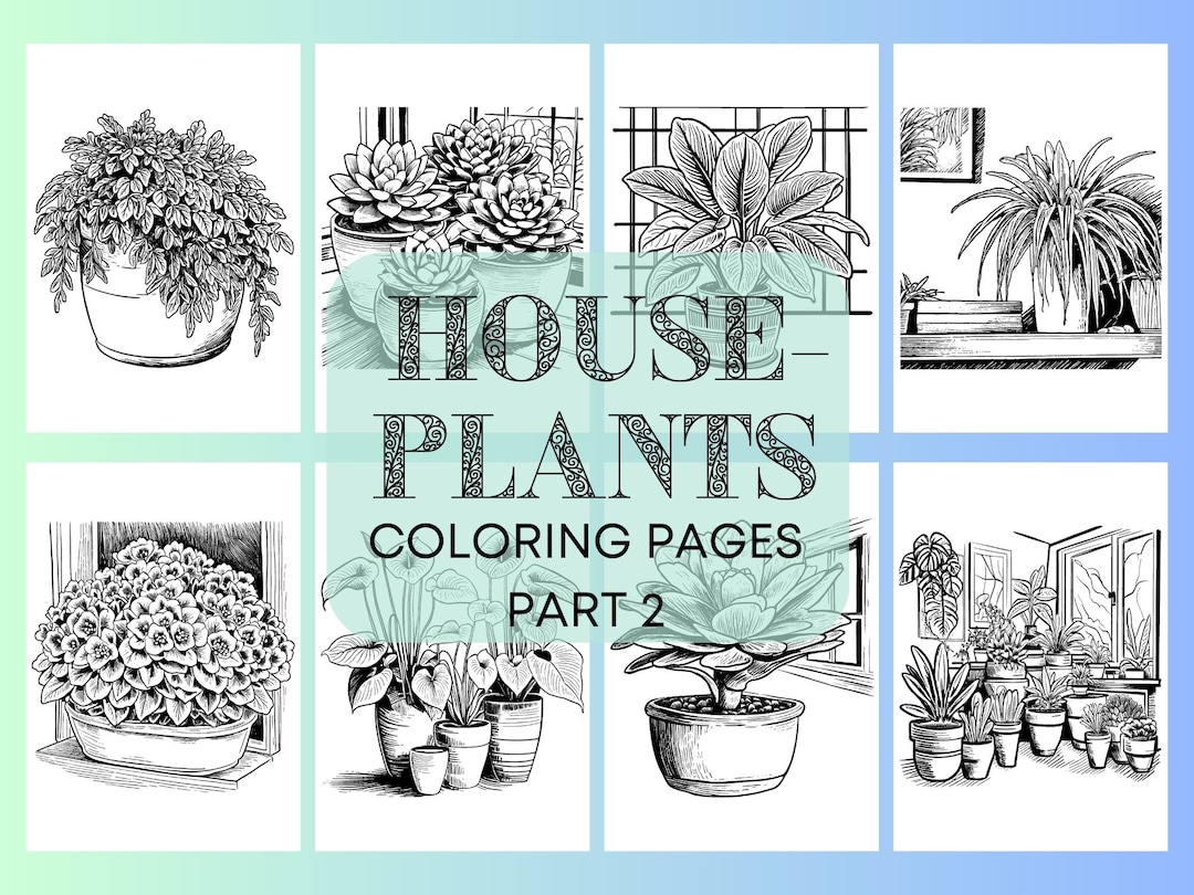 100 Pages of Houseplant Coloring Pages, Part 2, Instant Download, Pdf ...