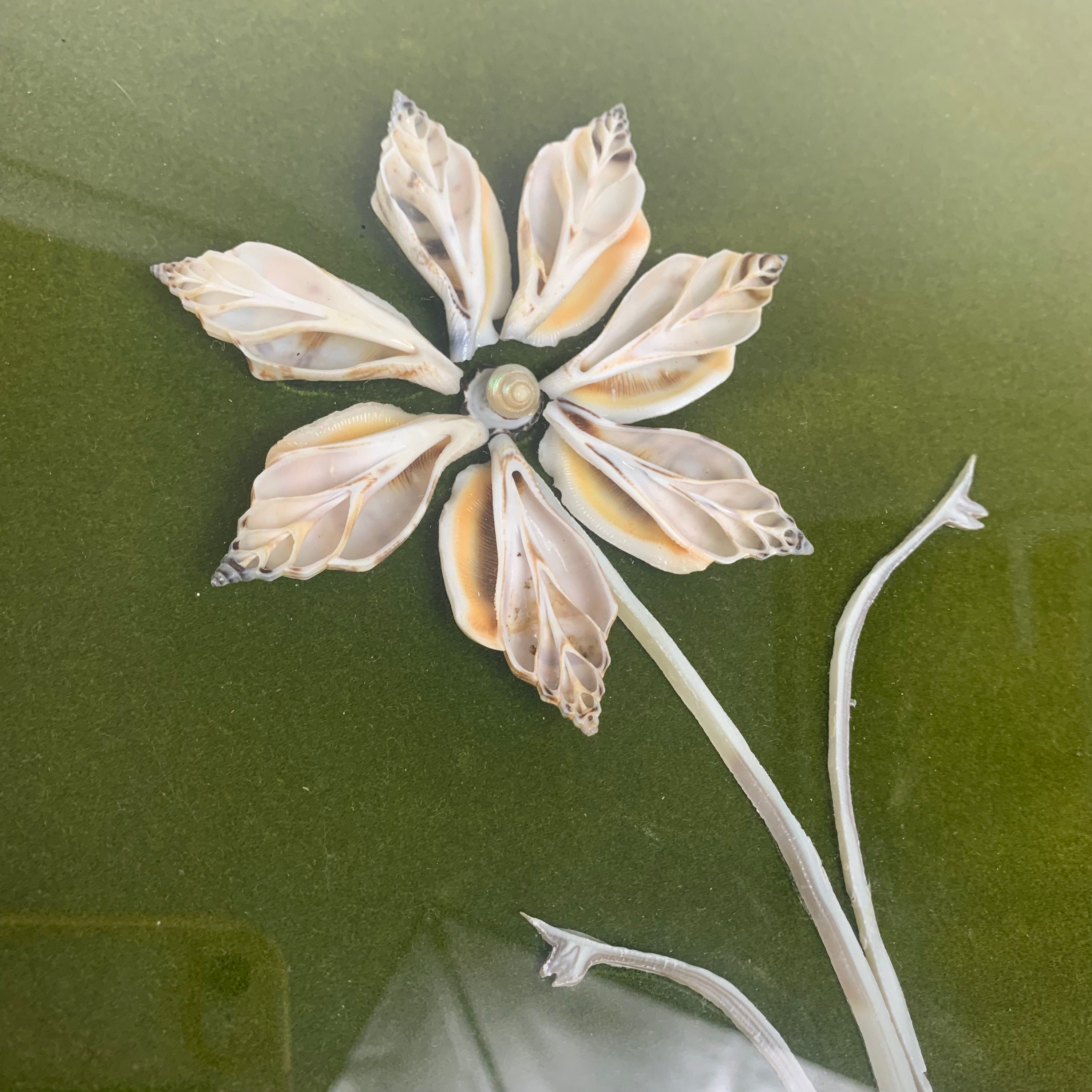 Large Framed Seashell Flowers Wall Art on Velvet 70s Vintage - Etsy