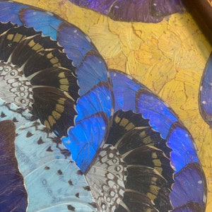 Real Butterfly Wing Mosaic Vtg Tray Welcome Friends Wood Inlay ...