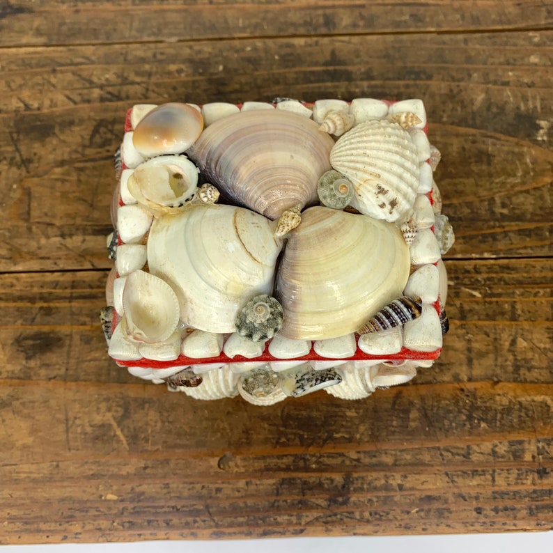 Sea Shell Trinket Box With Red Velvet Lining Souvenir Jewelry Stash Box ...