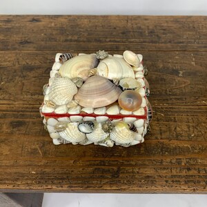 Sea Shell Trinket Box With Red Velvet Lining Souvenir Jewelry Stash Box ...