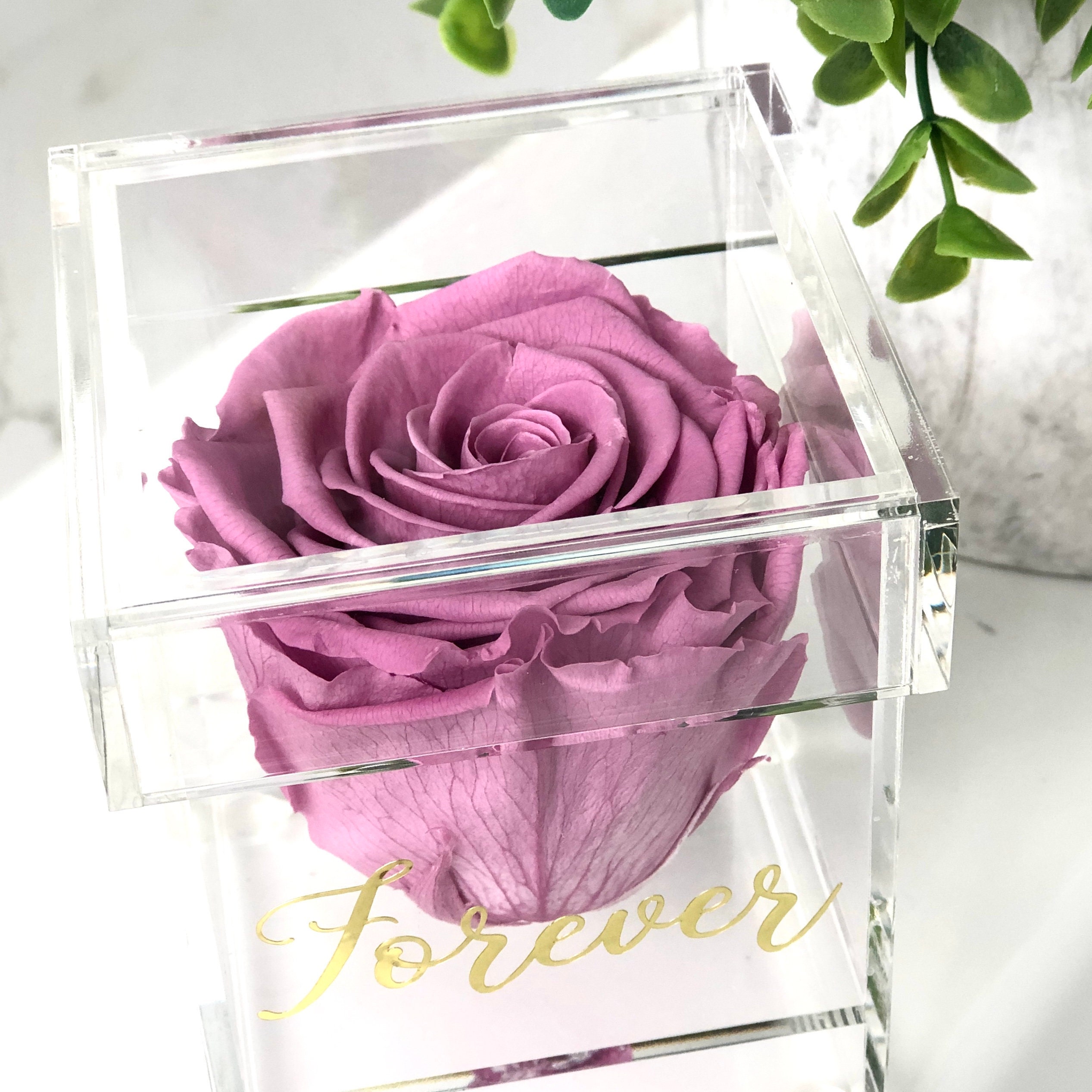 Preserved Single Rose Box Personalized Acrylic Jewelry Rose - Etsy UK