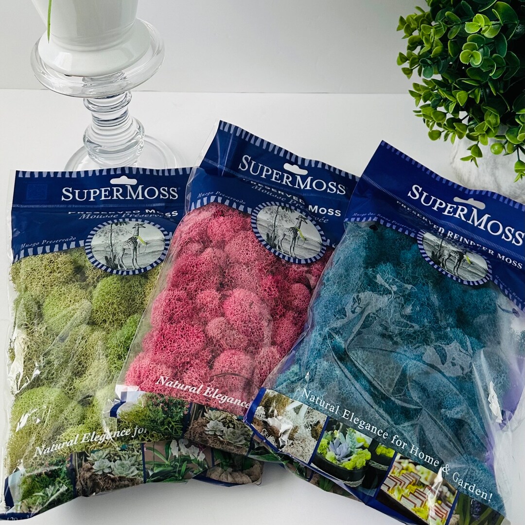 Preserved Moss for Floral Creations, Vibrant Colored Moss for Stunning ...