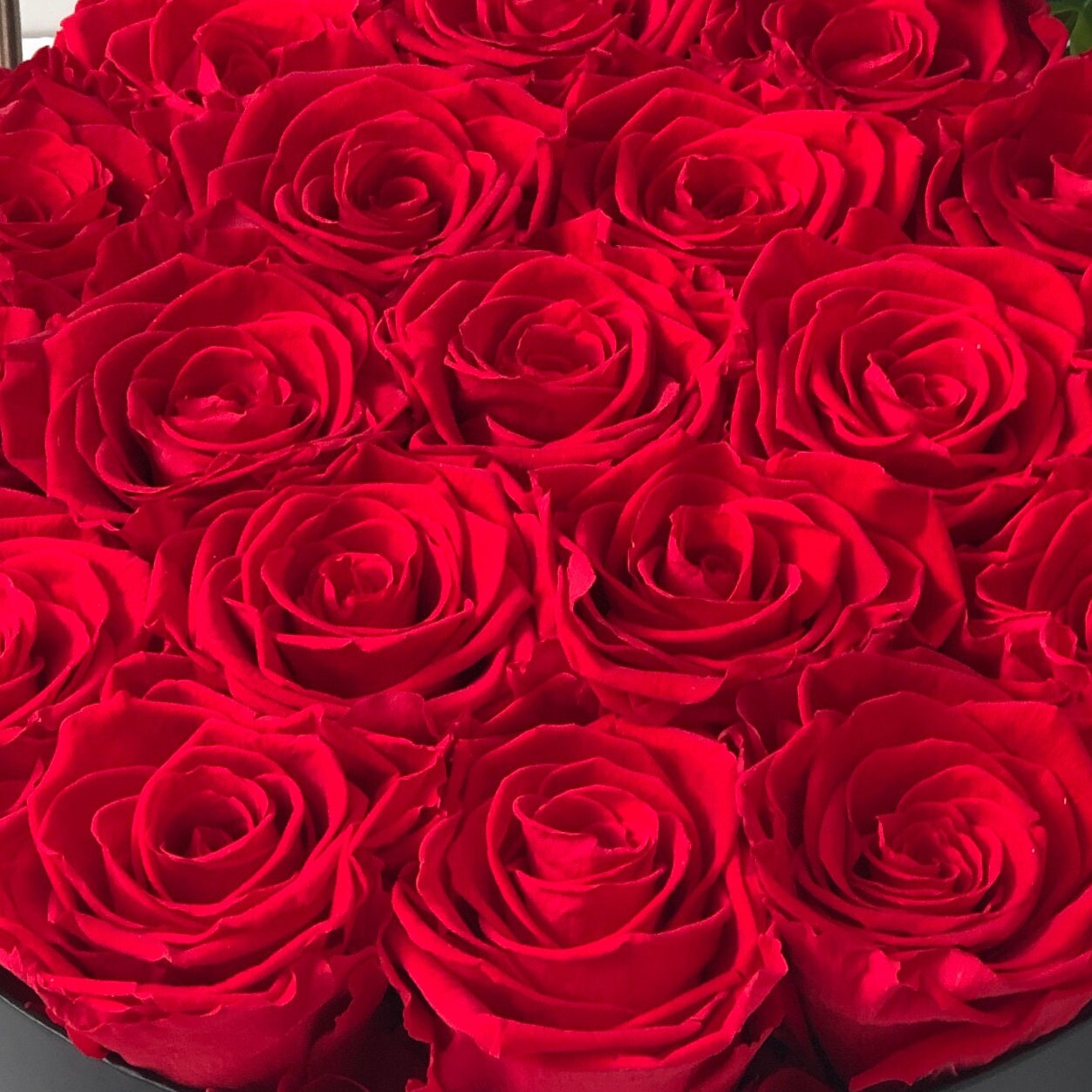 Preserved Roses in a Round Box Personalized Gift Box | Etsy