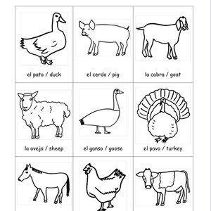 Bilingual Printable Coloring Book Picture Dictionary Spanish and ...