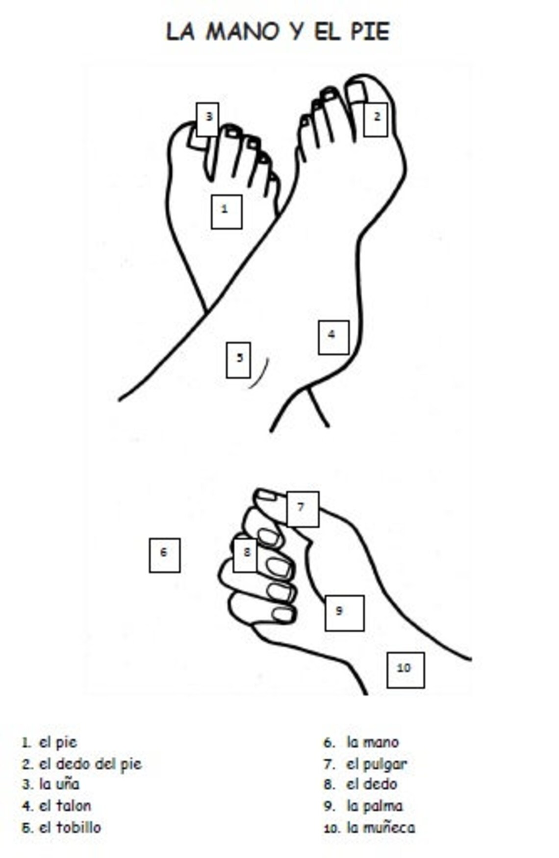 Printable Spanish Picture Dictionary and Coloring Book for Beginners - Etsy