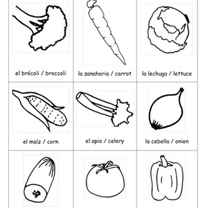 Bilingual Printable Coloring Book Picture Dictionary Spanish and ...