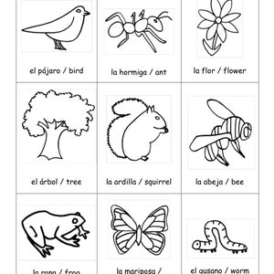 Bilingual Printable Coloring Book Picture Dictionary Spanish and ...