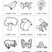 Bilingual Printable Coloring Book Picture Dictionary Spanish and ...