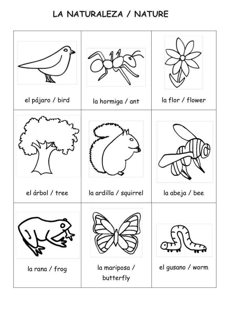Bilingual Printable Coloring Book Picture Dictionary Spanish and ...