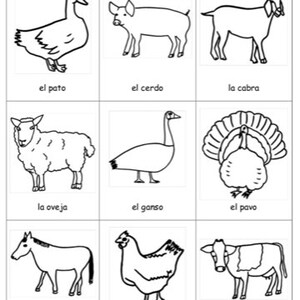 Printable Spanish Picture Dictionary and Coloring Book for Beginners - Etsy