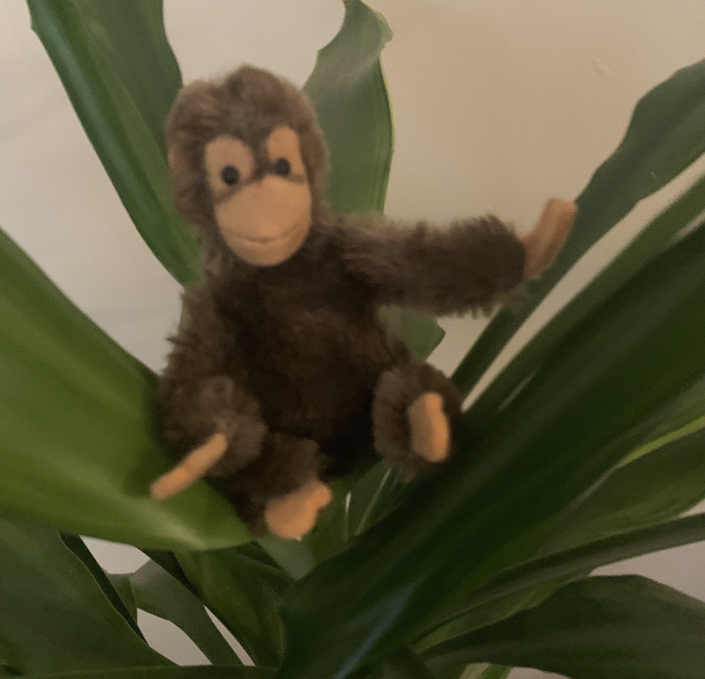Little Steiff Vintage Monkey - Etsy