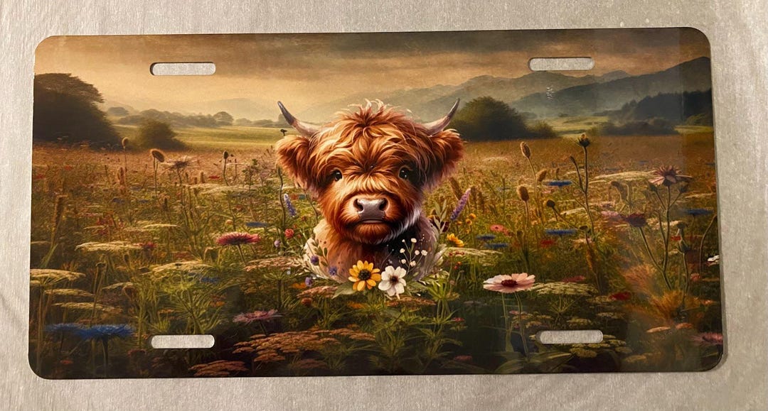 Highland Cow License Plate - Etsy