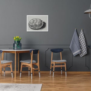 Turtle Shell Drawing Art Print - Etsy