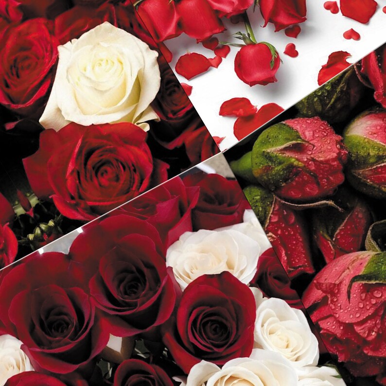 Red Roses Paper-flower Digital Paper-scrapbooking Craft | Etsy