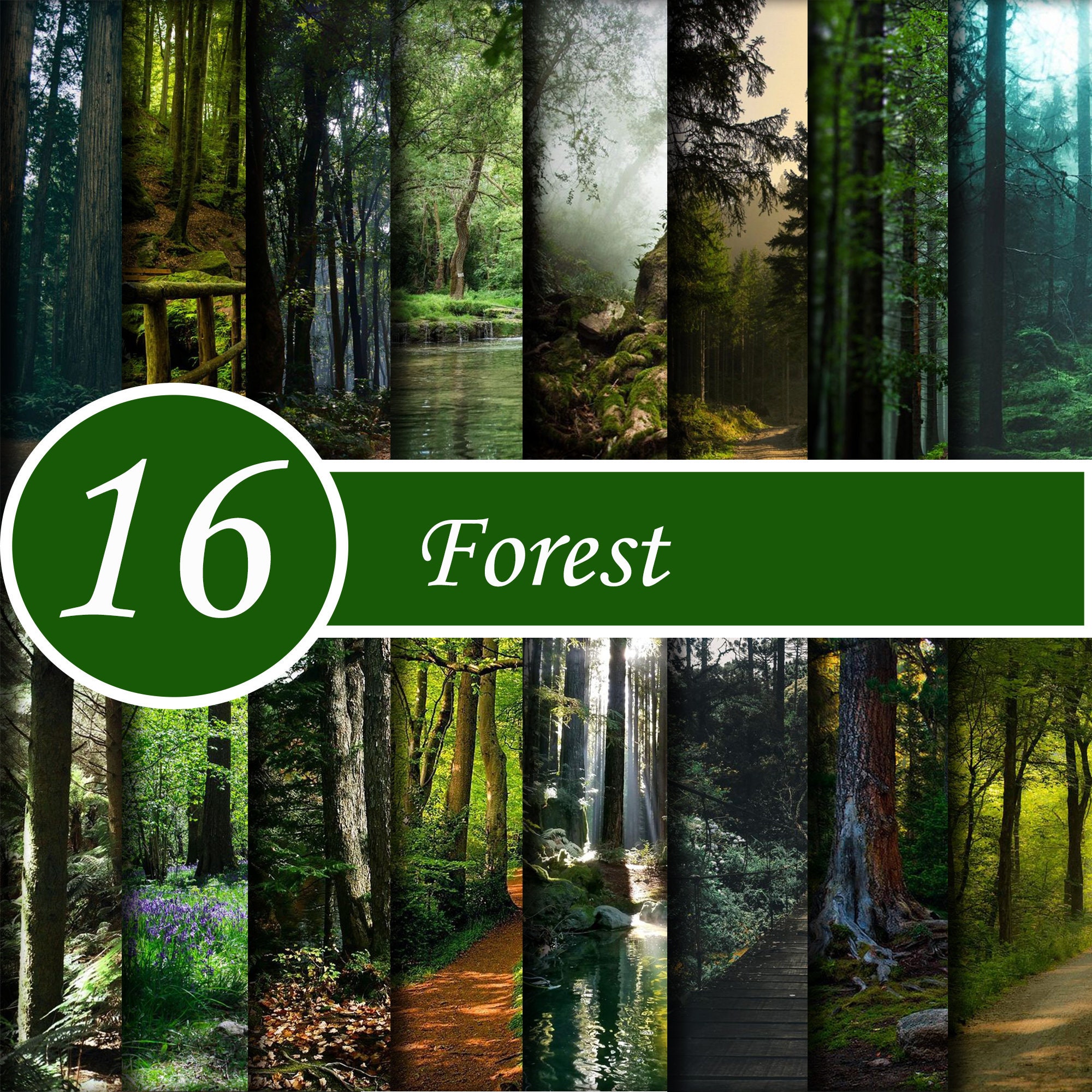 Forest Paper-tree Wallpaper-floor Paper-scrapbooking Craft - Etsy