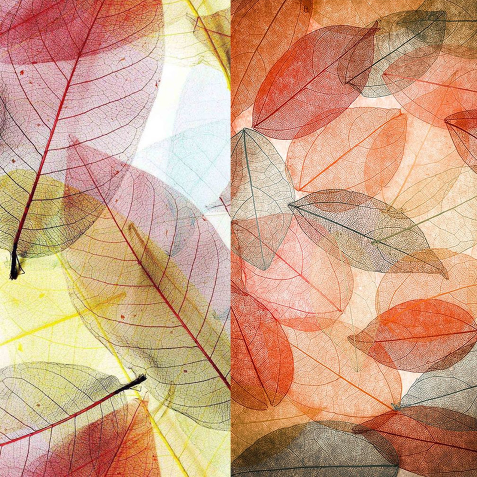 Leaves Textures Paper-nature Digital - Etsy