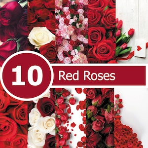 Red Roses Paper-flower Digital Paper-scrapbooking Craft Supplies ...