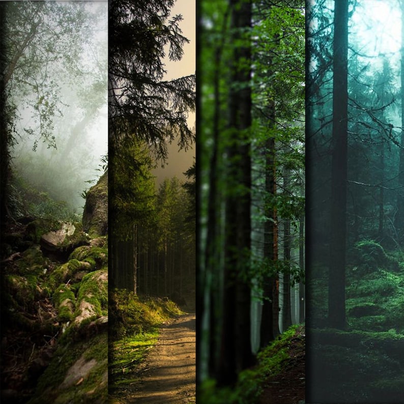 Forest Paper-tree Wallpaper-floor Paper-scrapbooking Craft - Etsy